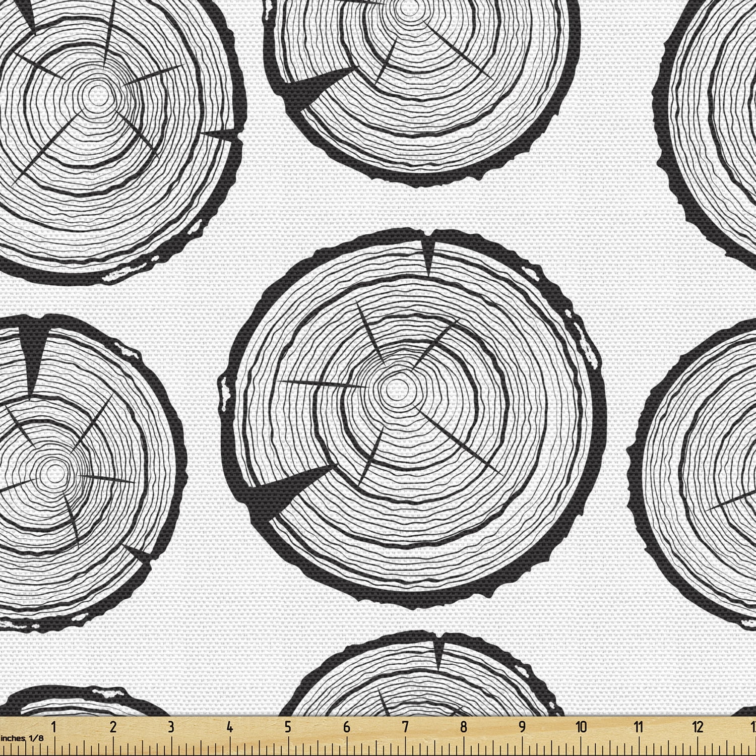 Concentric Circles In Nature