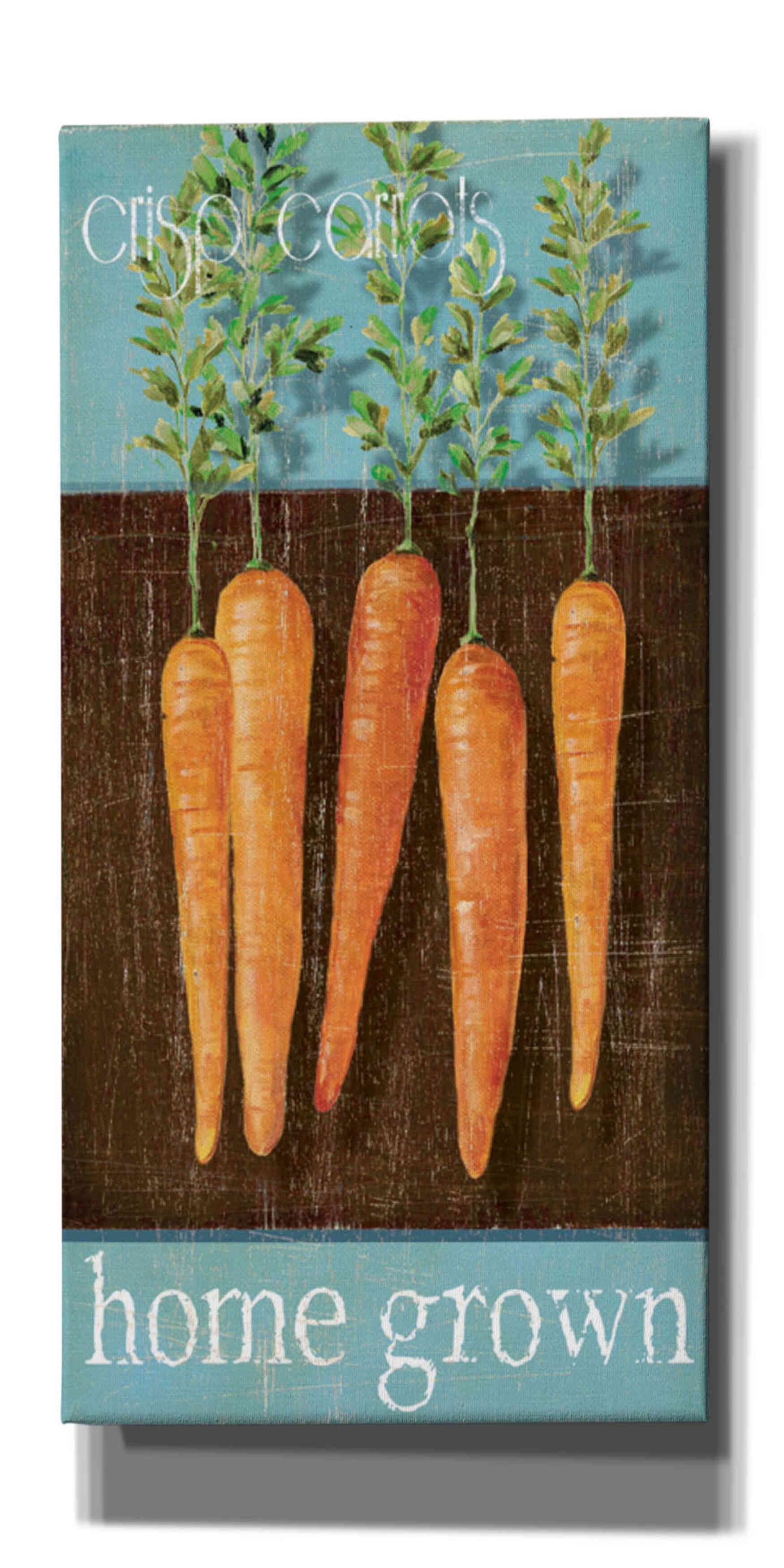 Epic Graffiti 'Crisp Carrots' by Jadei Graphics, Canvas Wall Art, 12 ...