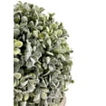 Regency International Topiary Flocked Boxwood Single Ball Topiary in ...