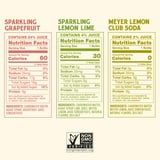 Betty Buzz Premium Sparkling Soda Citrus Variety Pack by Blake Lively ...