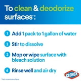 Clorox Zero Splash Bleach Packs, Regular Scent, 8.9 oz, 12 Count ...