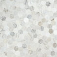 MSI Angora Hexagon Sample Honed Mosaic Marble Floor And Wall Tile ...