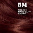 Clairol Nice'n Easy 5M Medium Mahogany Brown, Natural Highlights ...
