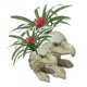 Homestyles Antique White American Eagle Mascot Muggly Animal Statue ...