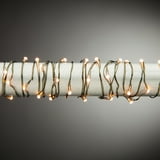 Warm White Micro LED Light String on Black Wire (Set of 2) - Walmart.com