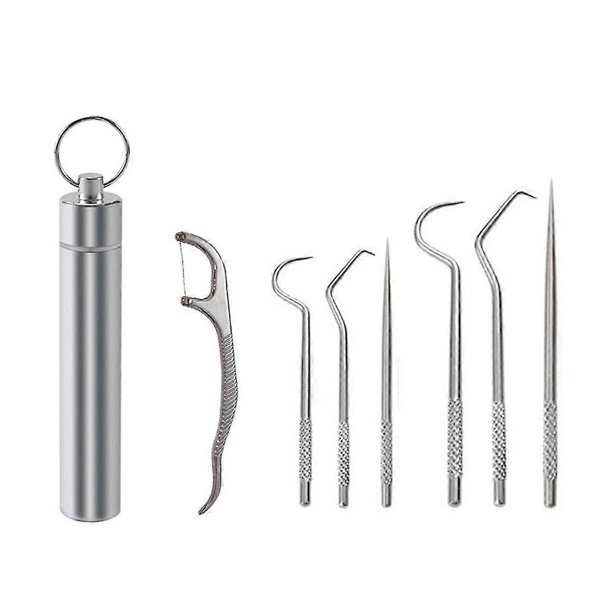 Flossing Metal Toothpicks Set Reusable Toothpicks Portable Toothpick ...