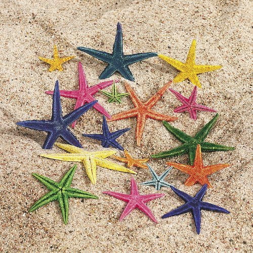 Natural Starfish Asst Colors (30Pc) - Craft Supplies - 30 Pieces ...