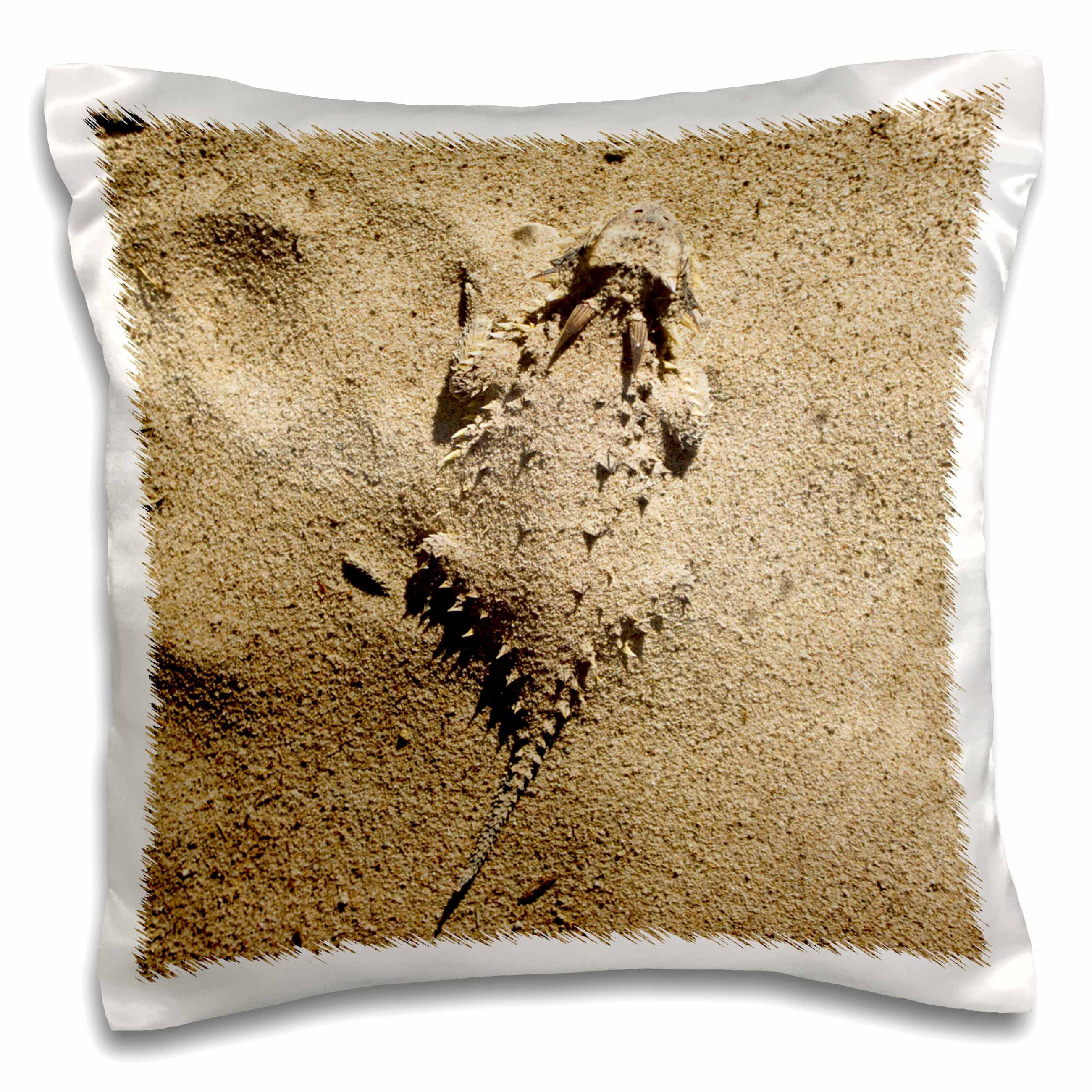 Texas Horned Lizard hiding in sand, south Texas, USA - US44 LDI0577 ...