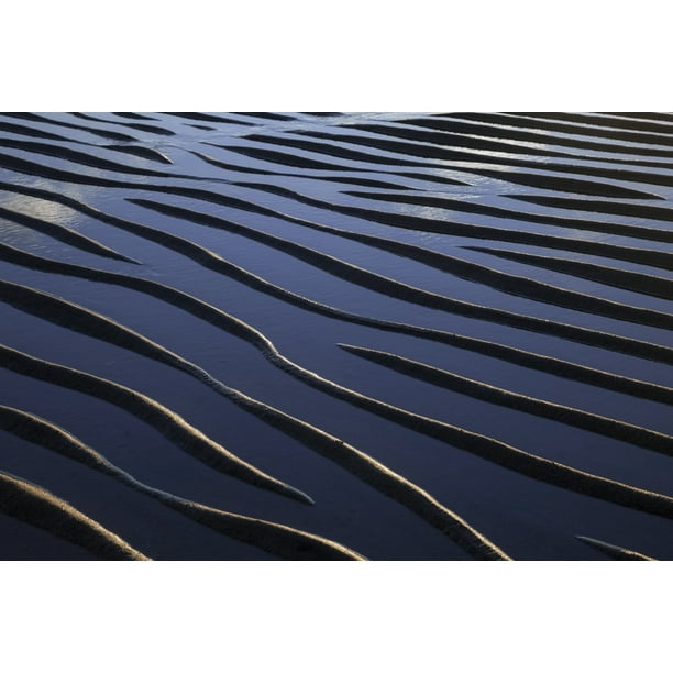 Ripples created by the action of wind, water and tides are revealed as ...