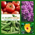 Growth Impact! by GS Plant Foods, 8oz. - Walmart.com