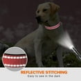 Reflective Dog Collar with Safety Locking Buckle, Adjustable Nylon Pet ...