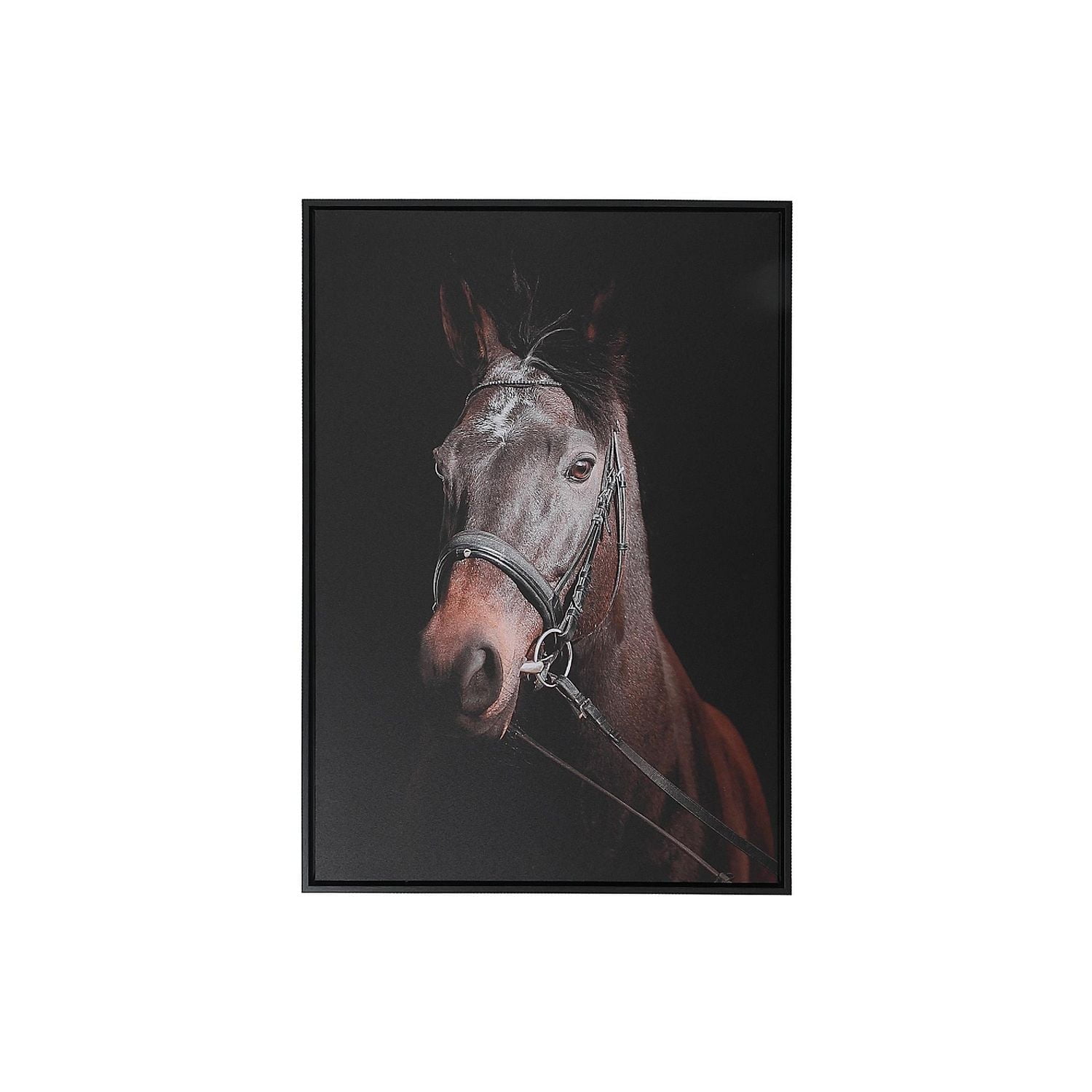 Click here for Ih Casadécor Framed Canvas Wall Art Horse 20 X 5 I... prices