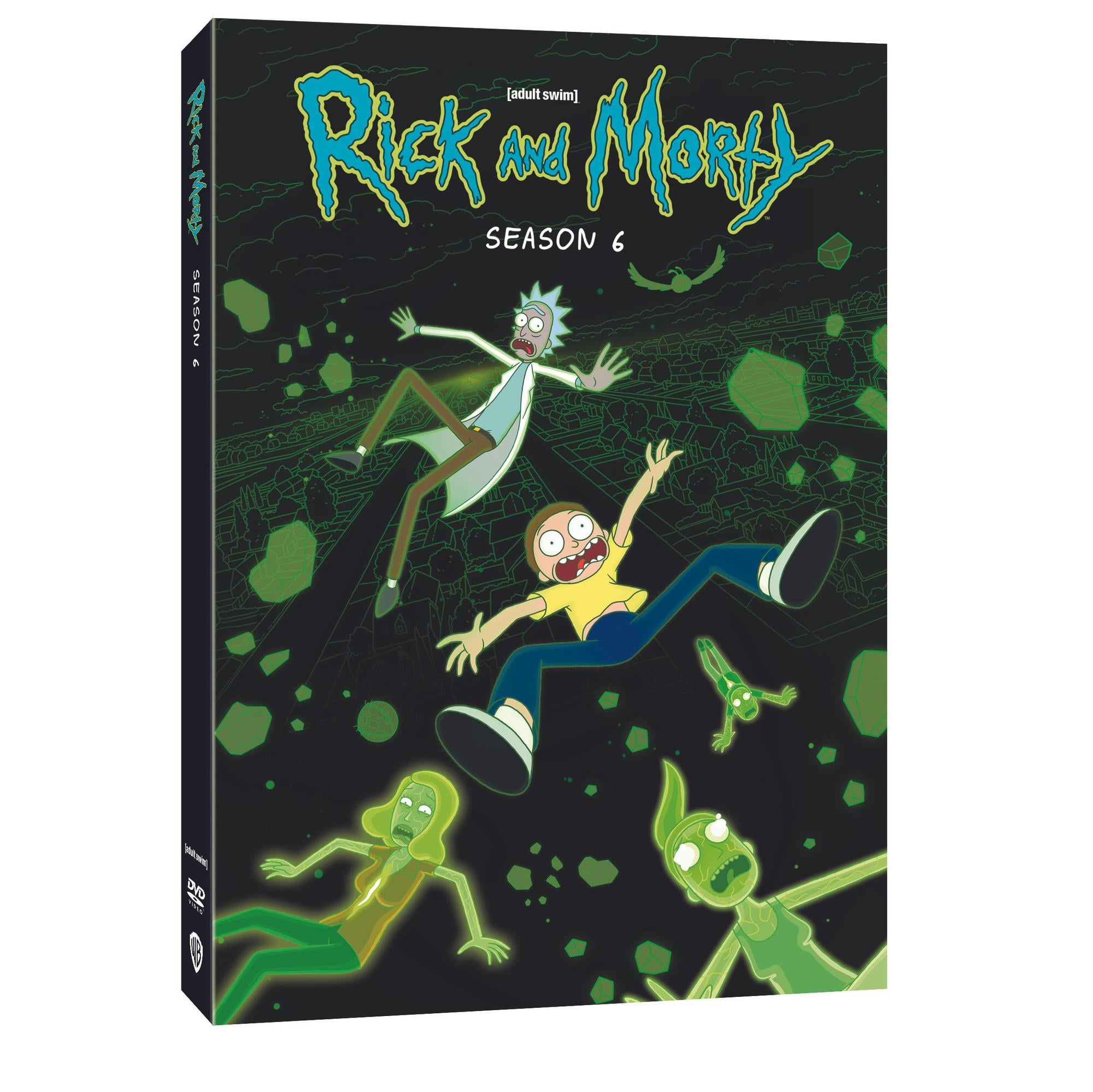 Rick and Morty: Season 6 (DVD) - Walmart.com