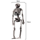 Luxsea 5.5 Inch Skeleton Human Model Skull Full Body Mini Figure Toy ...