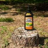 Spectracide Stump Remover Granules, 1-lb - Walmart.com