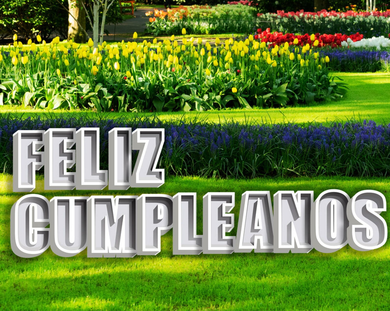 FELIZ CUMPLEANOS 24" White Tall Elegant Shadow Box Yard Letters Yard ...