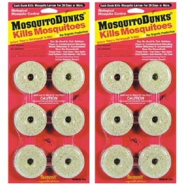 CB-80 Aerosol Insecticide - Indoor & Outdoor Bug & Pest Eliminator ...