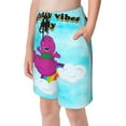 Barney And Friends Boys Swim Trunks with Mesh Liner Swim Shorts Youth ...