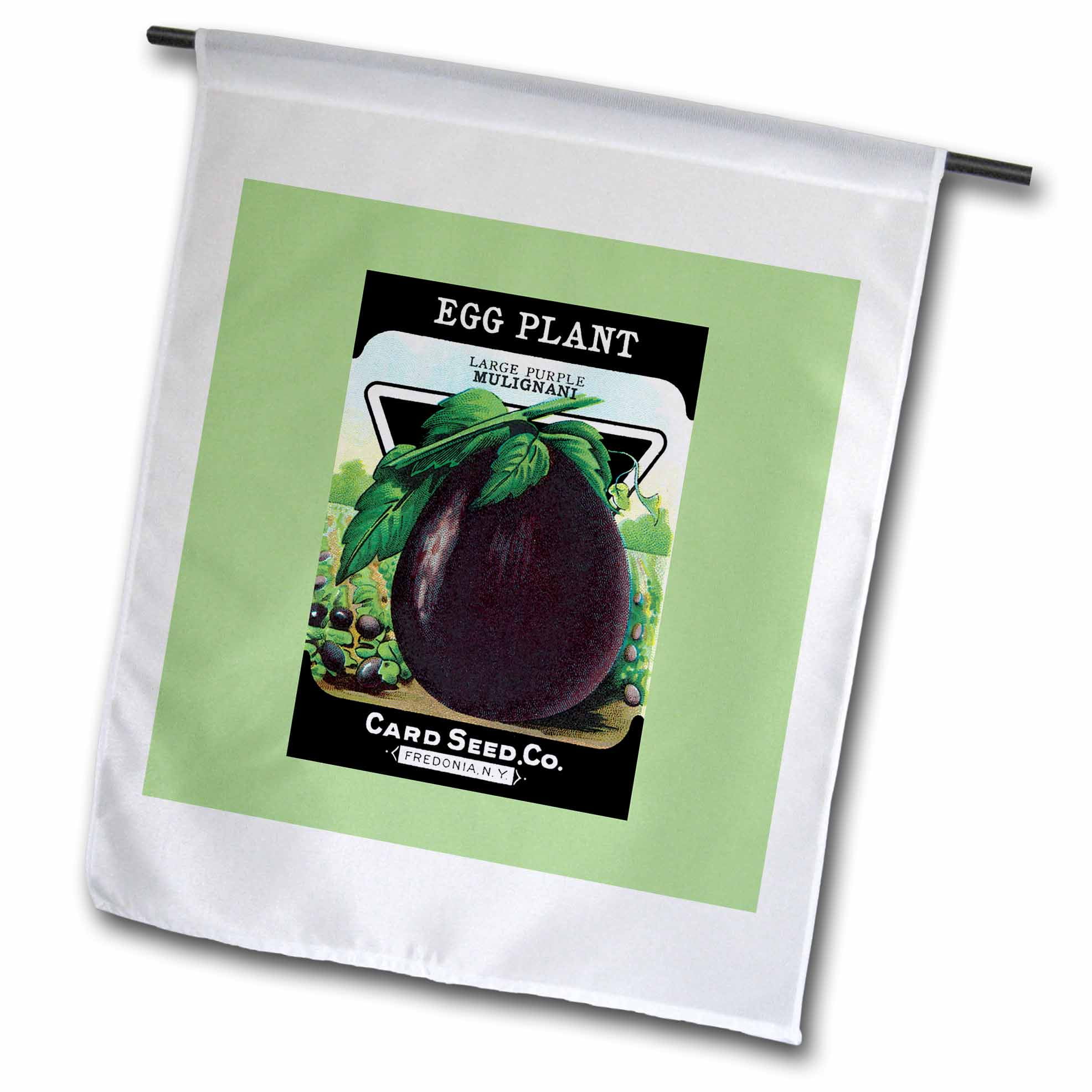 3dRose Egg Plant Large Purple Mulignani Card Seed Company Fredonia NY ...