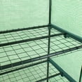 Mini Portable Plant Greenhouse, Clear Warm House for Flowers ...