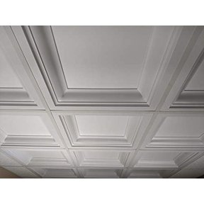 251-Economy 2x2 ft. PVC Lay-in Ceiling Tile, White Glossy - 10 Pieces ...