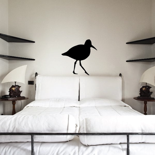 Shore Bird