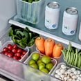 UDIYO Refrigerator Organizer Bins, Fridge Side Door Storage Containers ...