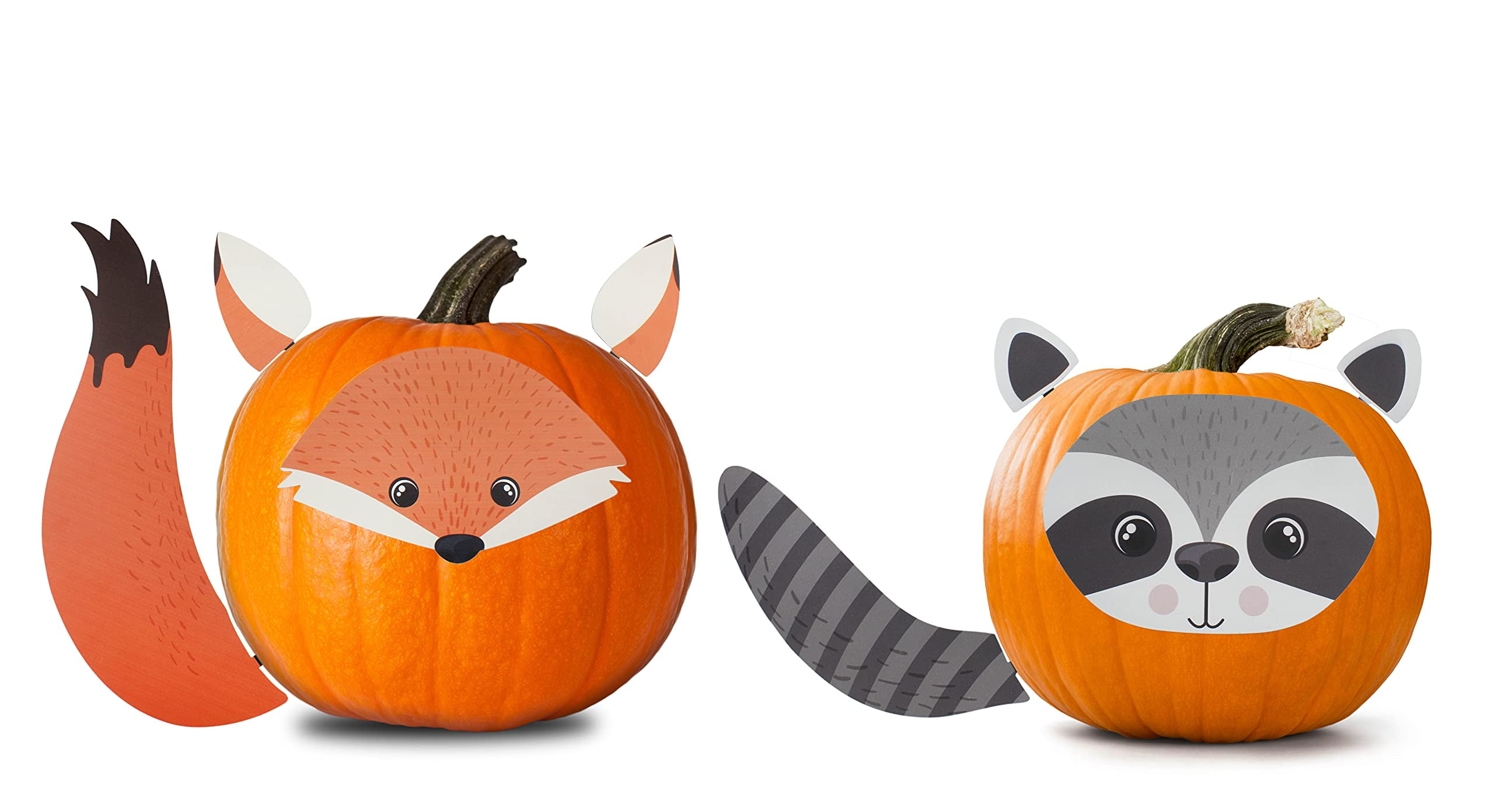 Decorae Halloween Pumpkin Decorating Kit (Woodland Friends Set), 8 ...