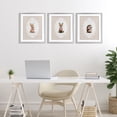 Stupell Industries Vintage Baby Bow Animals 3 Piece Gray Framed Print ...