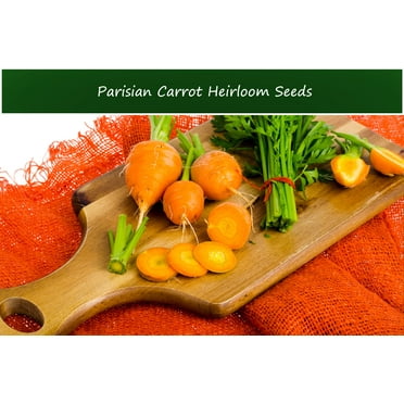 Mountain Valley Seeds - Parisian Carrot Seeds, 2g Packet, Non-GMO ...