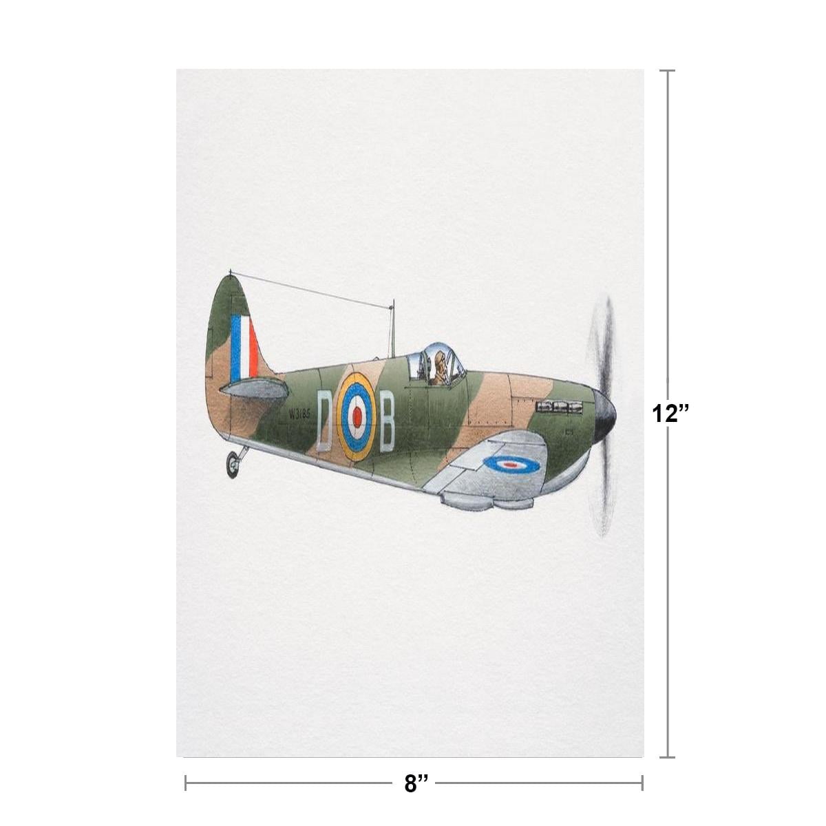 Spitfire Plane With Teeth