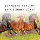 Manna Pro Sho Glo for Horses, Complete Vitamin and Mineral Supplement ...