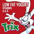 Yoplait Low Fat Kids Yogurt, Trix Strawberry and Berry Variety Pack, 8 ...