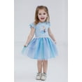 Disney Frozen Elsa Princess Anna Tulle Dress Toddler to Big Kid ...