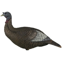Cherokee Inflatable Turkey Decoys Sexxy Legs Turkey Decoy : Buy Online