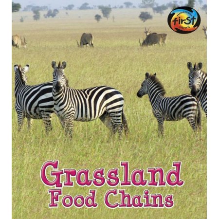 Grassland Food Chains (Food Chains and Webs) | Walmart Canada