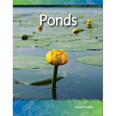 Science: Informational Text: Rocks and Minerals (Paperback) - Walmart.com