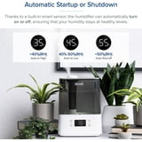 Levoit Smart Cool Mist Humidifier for Large Spaces, Bedroom, Office ...