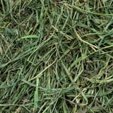 Rabbit Hole Hay, Ultra Premium Soft Timothy Hay; 24oz Bag - Walmart.com