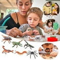 Children's Science And Education Toys, Plastic Toddlers Fake Bug Toys ...