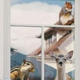 3 PCS Woodland Animals Squirrels Deer Hamsters Realistic Fun Gazing ...
