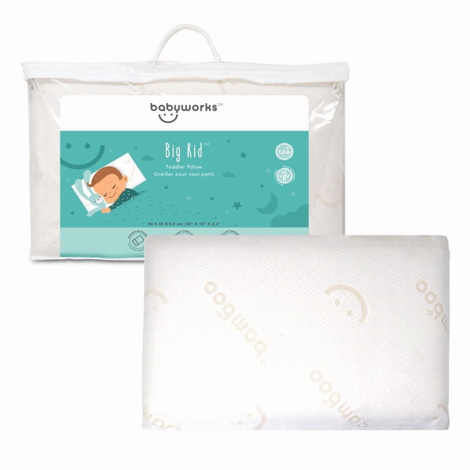 Click here for Babyworks Big Kid Pillow With Bamboo Pillowcase -... prices