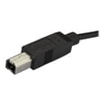 StarTech.com USB-C to USB-B Cable - M/M - 2 m (6 ft.) - USB 2.0 ...