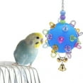 Colorful Hanging Bird Toy Chewable Rubber Ball Parrots Chewing Toy For ...