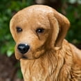Sandicast Golden Retriever - Walmart.com