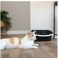 Vibrant Life Large Black Sifting Cat Litter Box with Open Top Plastic ...