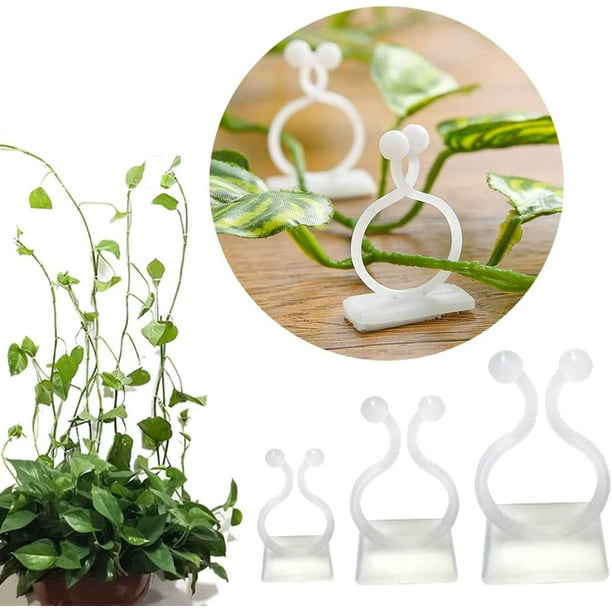 100 Pack Wall Mounted Climbing Plant Supports - 3 Sizes - Self-Adhesive ...