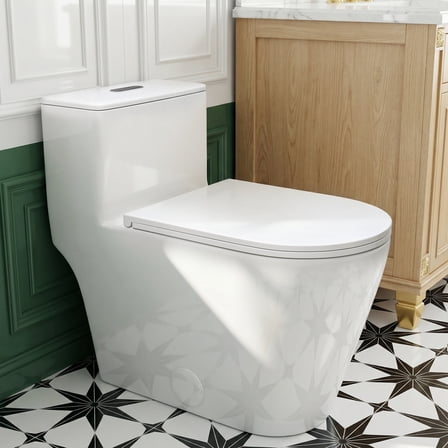 WinZo WZ5079, Compact One Piece Toilet, 12" Rough-In, Dual Flush 0.8/1. ...