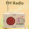 DIY FM Radio Model Wood Science Project Steam Model for Children Teens ...