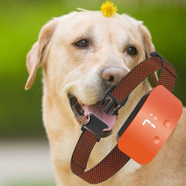 DOGTEK Sonic Birdhouse Bark Control - Walmart.com